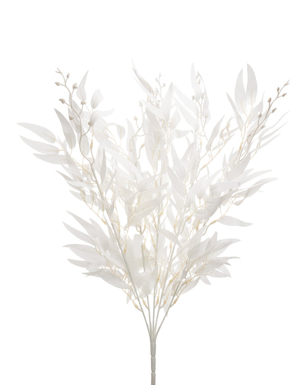 Ruscus Bush White 50cm – Star Value