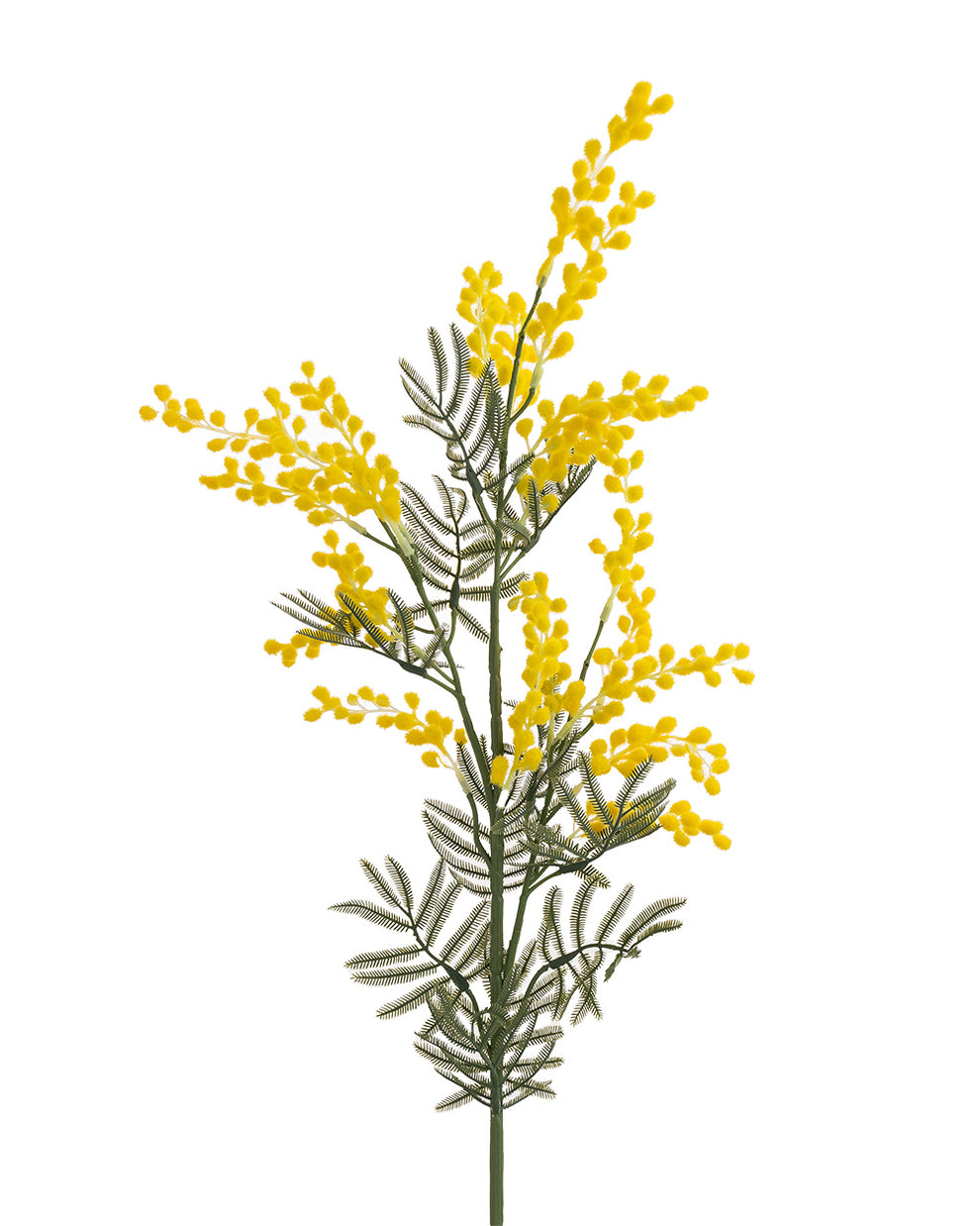 Mimosa Spray Yellow 88cm – Star Value