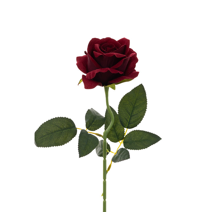 Star Value Online Store